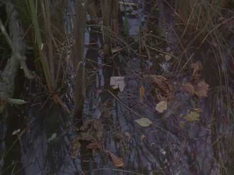The Secret Garden scene - YouTube