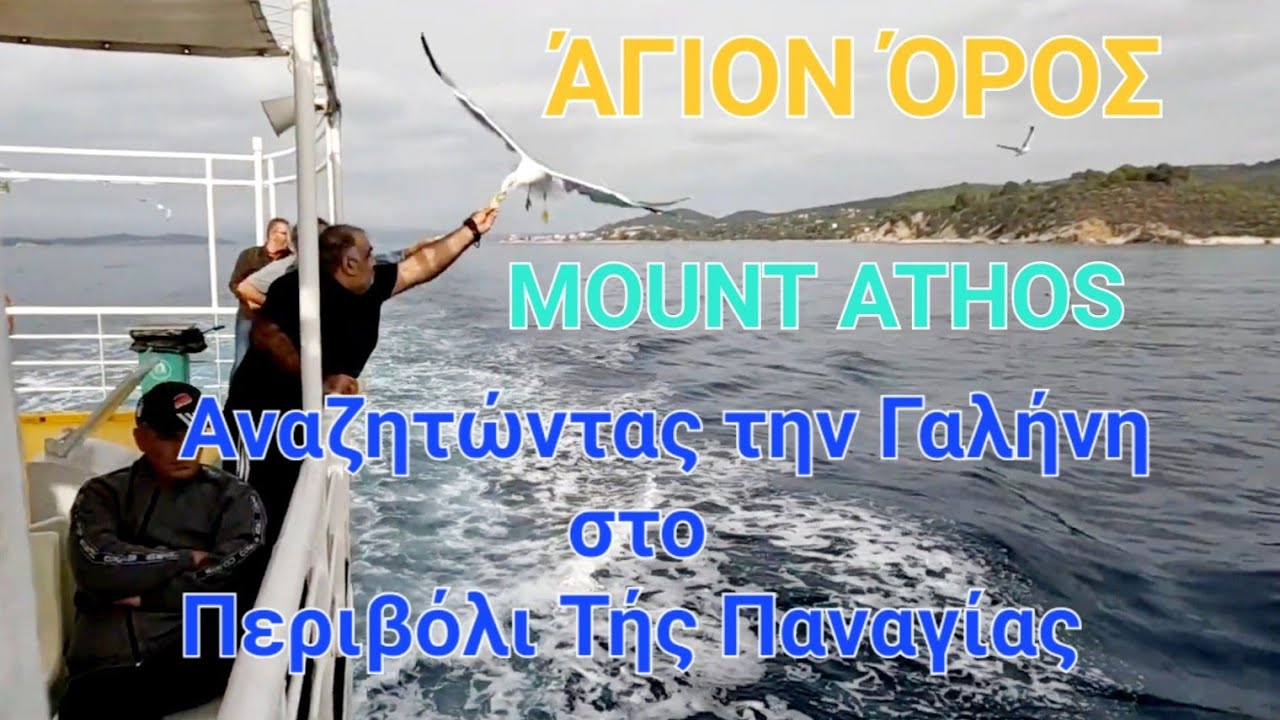 Άγιον Όρος: Το Περιβόλι της Παναγίας; Ερημος, KAROULIA, ASCETIC / Гора ...