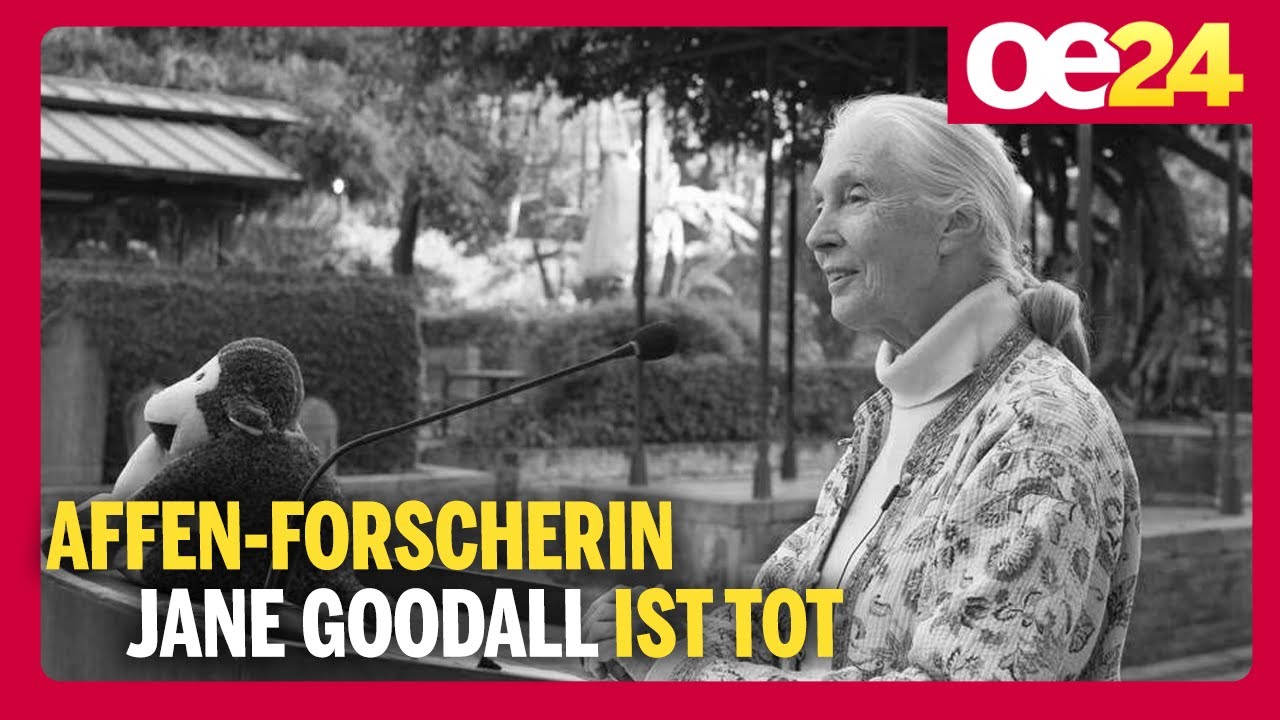 Forscherin Jane Goodall verstorben: Sie sah den Menschen im Affen - YouTube