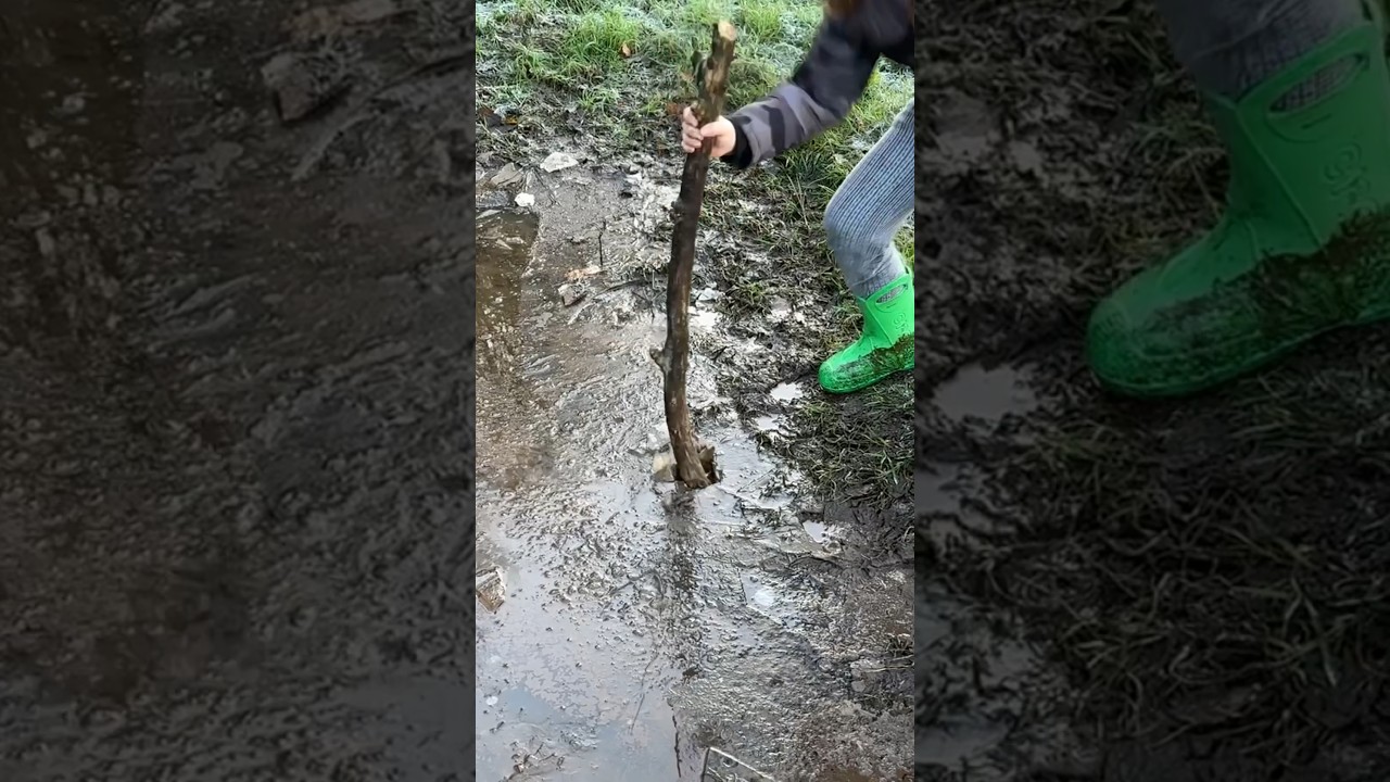 Icy ️ muddy puddles #satisfying - YouTube