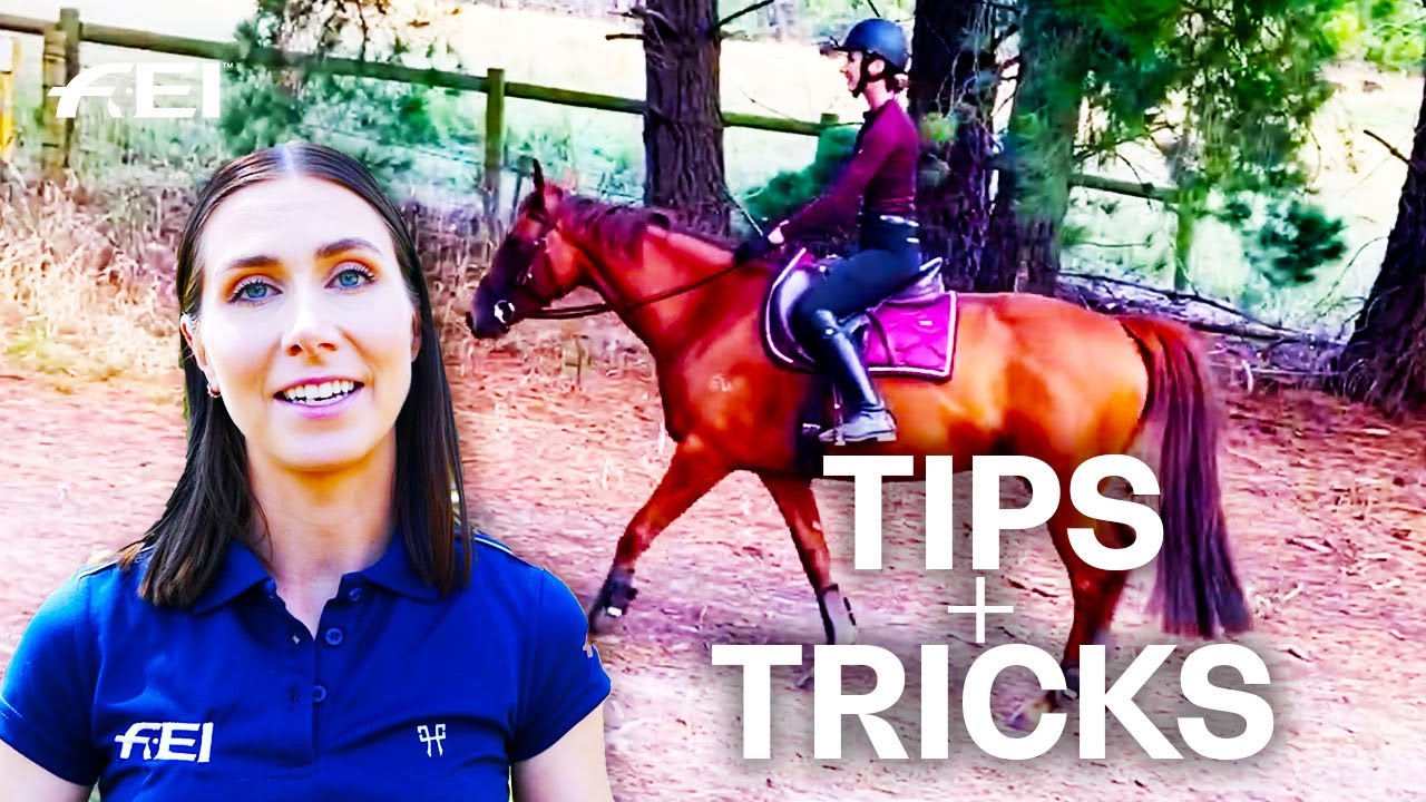 How To Bring Your Horse Back Into Work? - w/ Han Equestrian | Guest ...