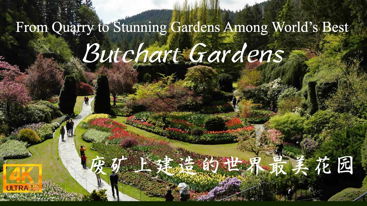 From Quarry to Paradise: Butchart Gardens Among World's Best｜废矿上建造的北美最美 ...
