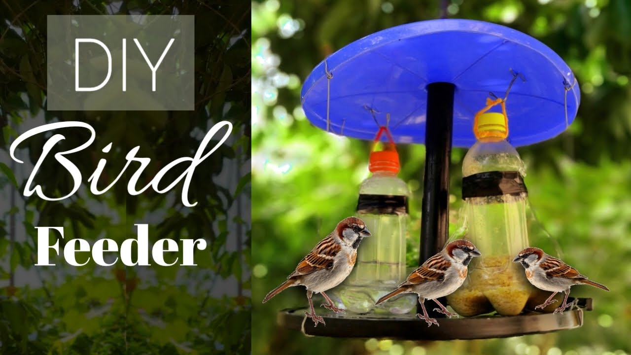 How To Make A Bird Water Feeder | DIY Homemade Plastic Bottle Bird ...
