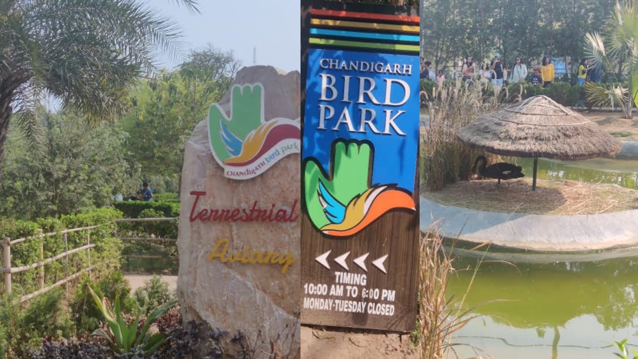 Bird Park Chandigarh | Bird park Chandigarh near sukhna lake | Bird ...