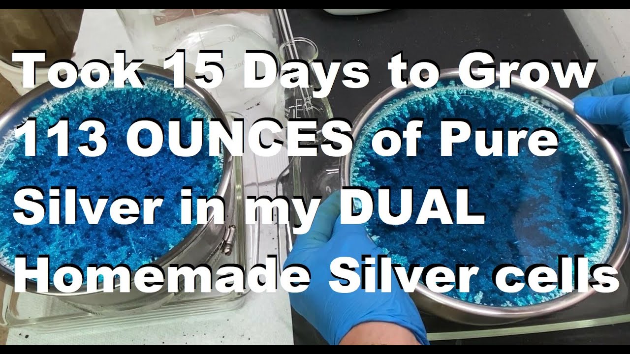 Dual Silver Cell Harvest 113 TROY OUNCES - YouTube