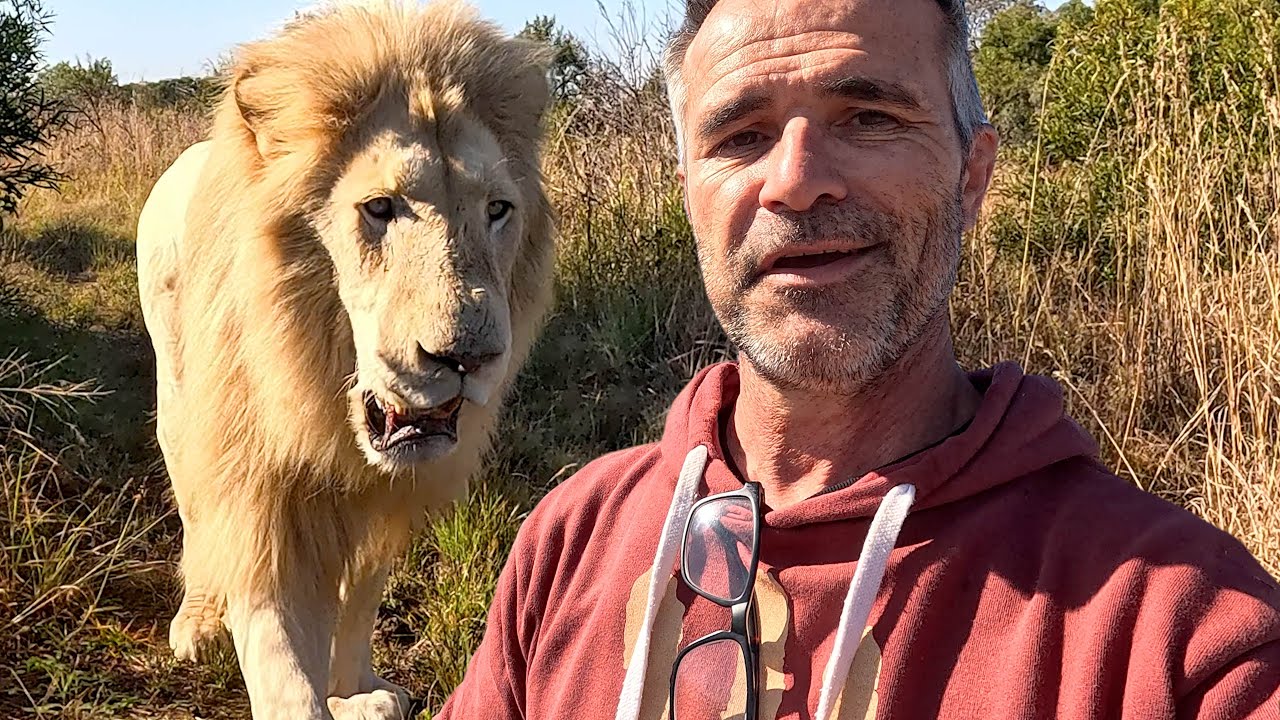 Best Wildlife Videos to Watch Right Now