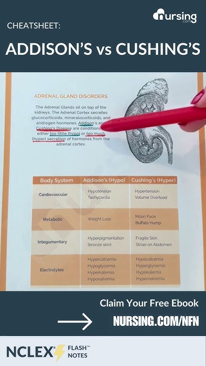 Understanding Addison's vs. Cushing's Disease - YouTube