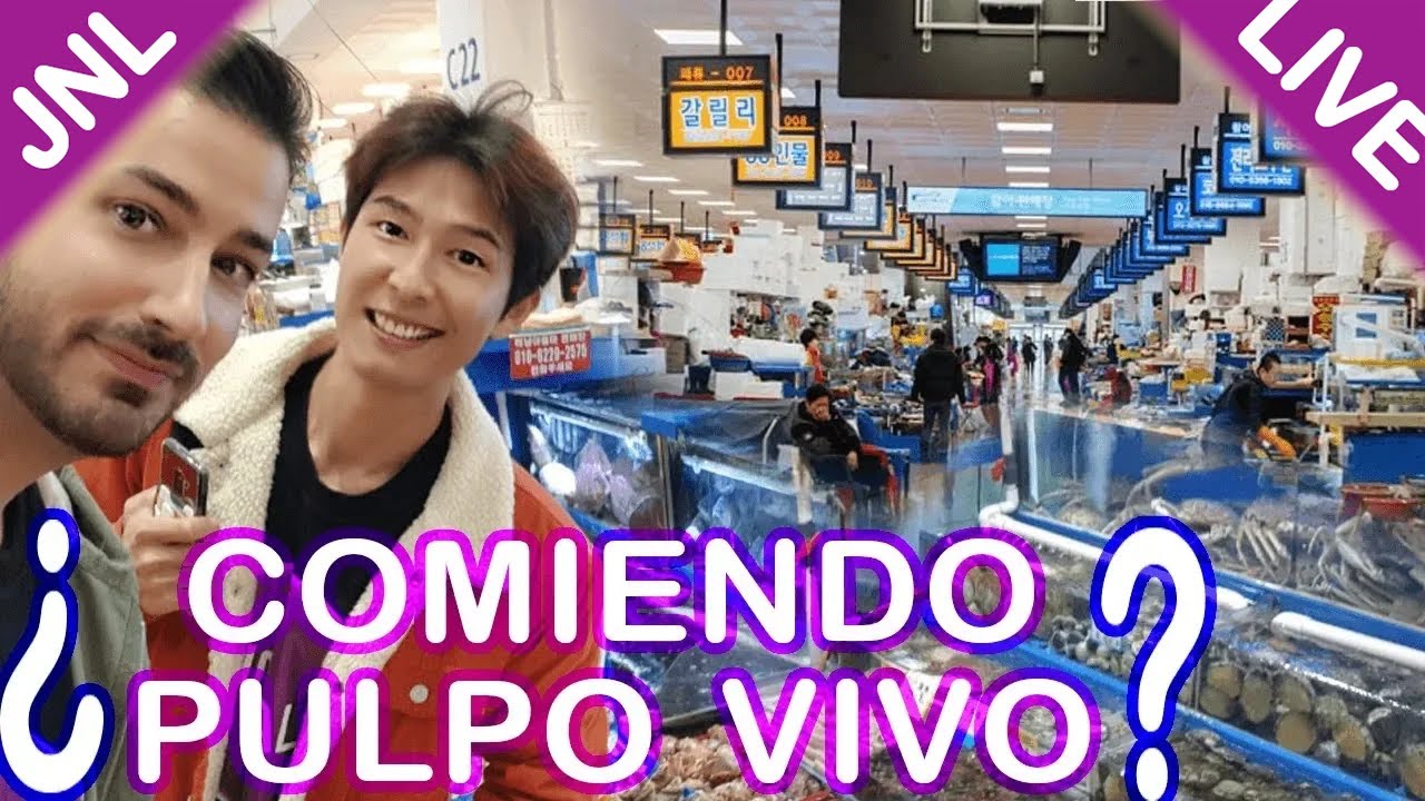 [LIVE] COMIDAS RARAS COREANAS - COMIENDO ¡¡PULPO VIVO!! EN COREA★JUNALE ...