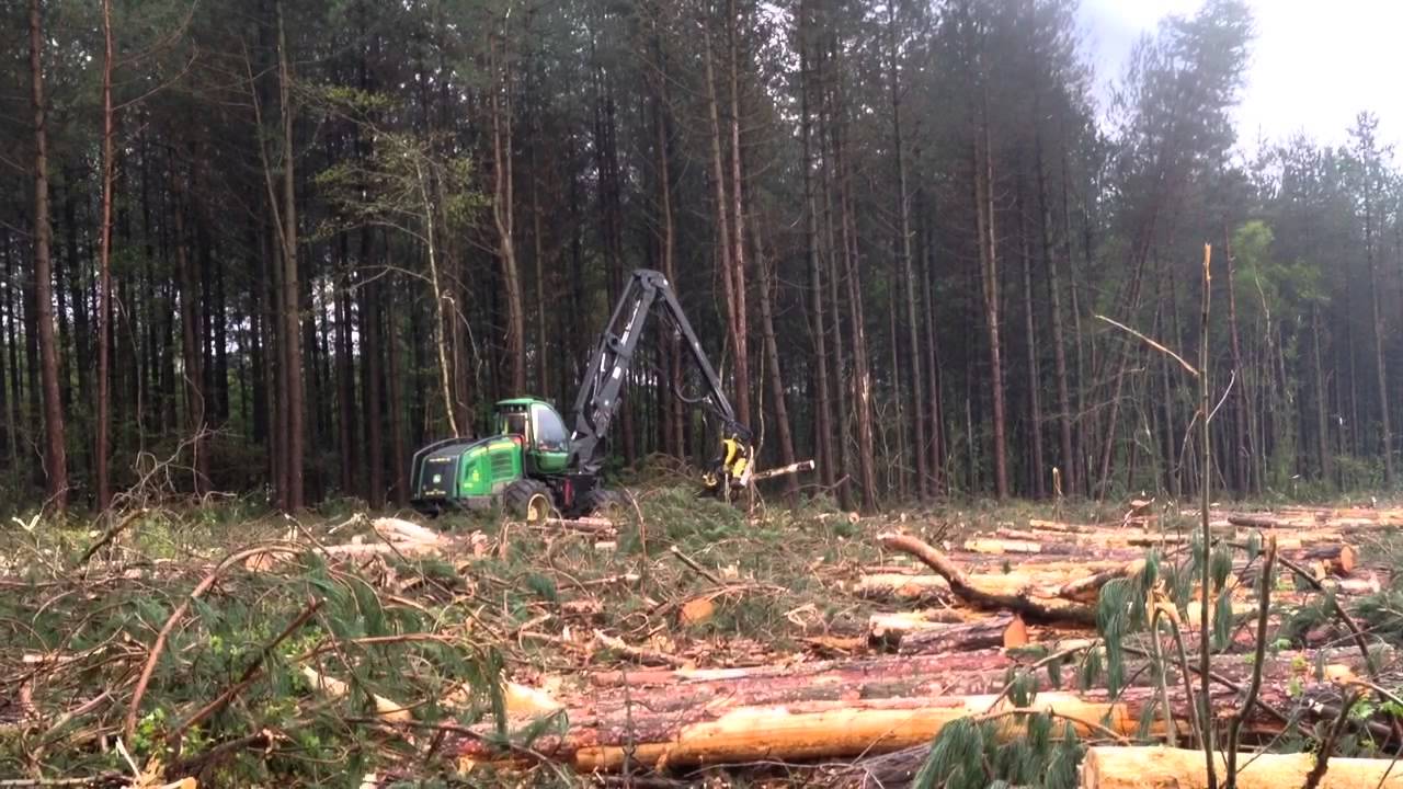 Timber harvester 1270E - YouTube
