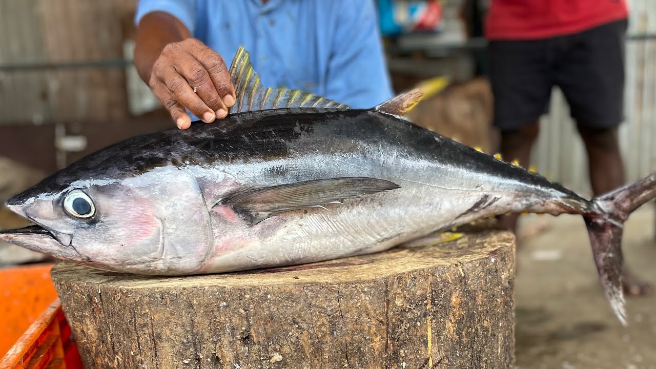 KASIMEDU VERY FRESH TUNA FISH CUTTING 💥 IN KASIMEDU FISH CUTTING 💥 ...