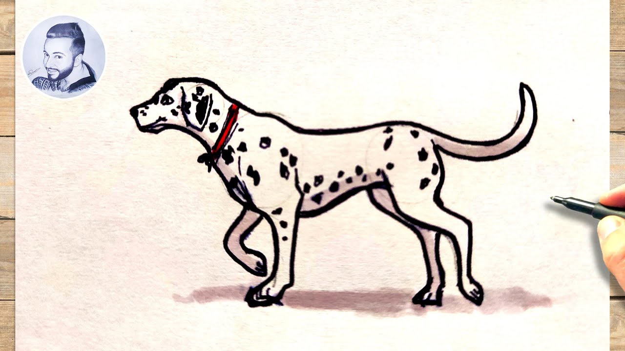 Comment dessiner un chien dalmatien facilement etape par etape - YouTube