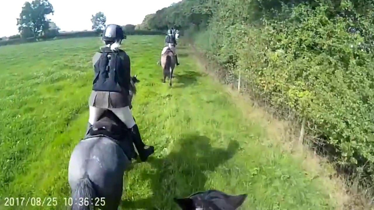 Atherstone Hunt 26-08-17 - YouTube
