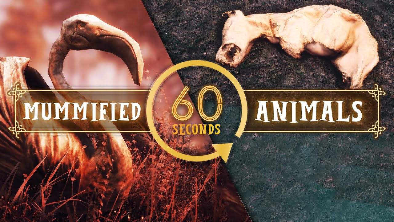 Skyrim Mod - Mummified Animals (In 60 Seconds) - YouTube