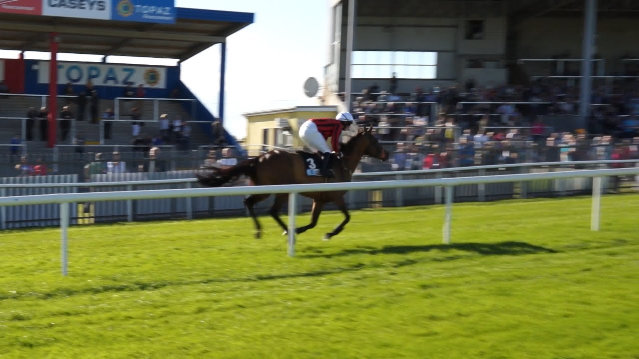 Roscommon Races - 8th July, 2014 - YouTube