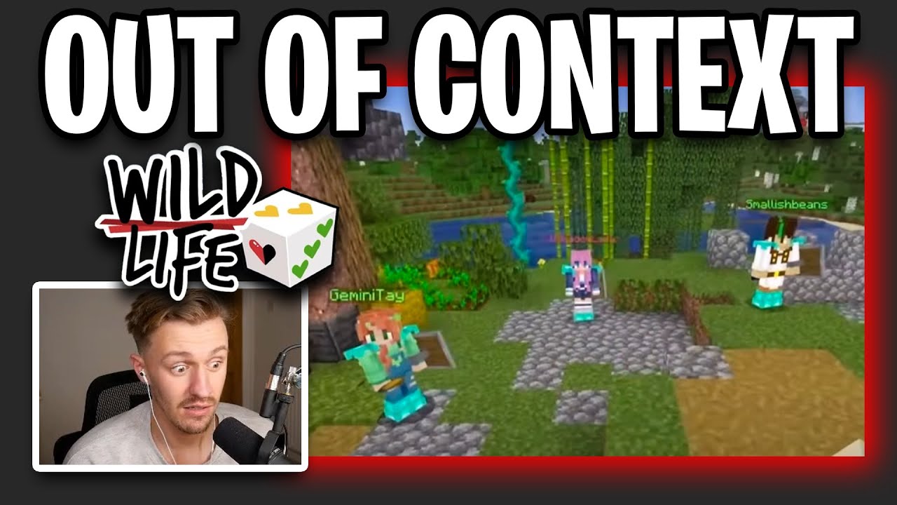 Solidarity REACTS To "Wild Life SMP Out of Context (Full Season)" - YouTube