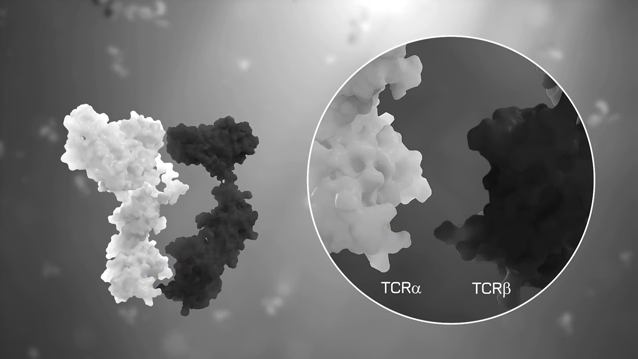 BEAT Platform Ichnos Sciences - YouTube