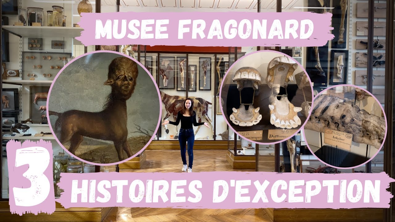 3 histoires d'exception du musée Fragonard racontées par son directeur ...