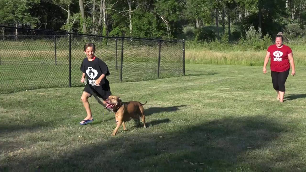 WISE Animal Rescue Ricky - YouTube