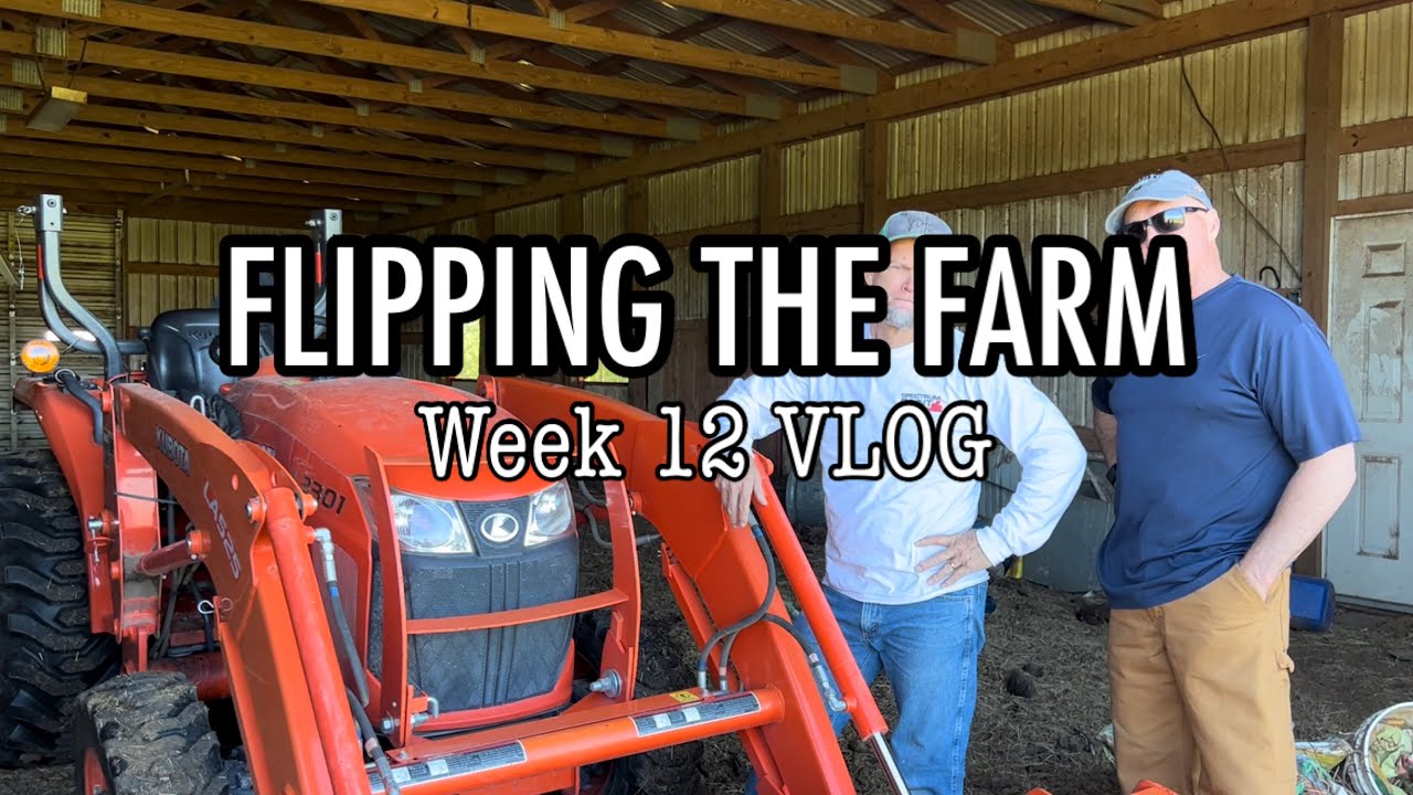 FLIPPING the FARM Week 12 Vlog - YouTube