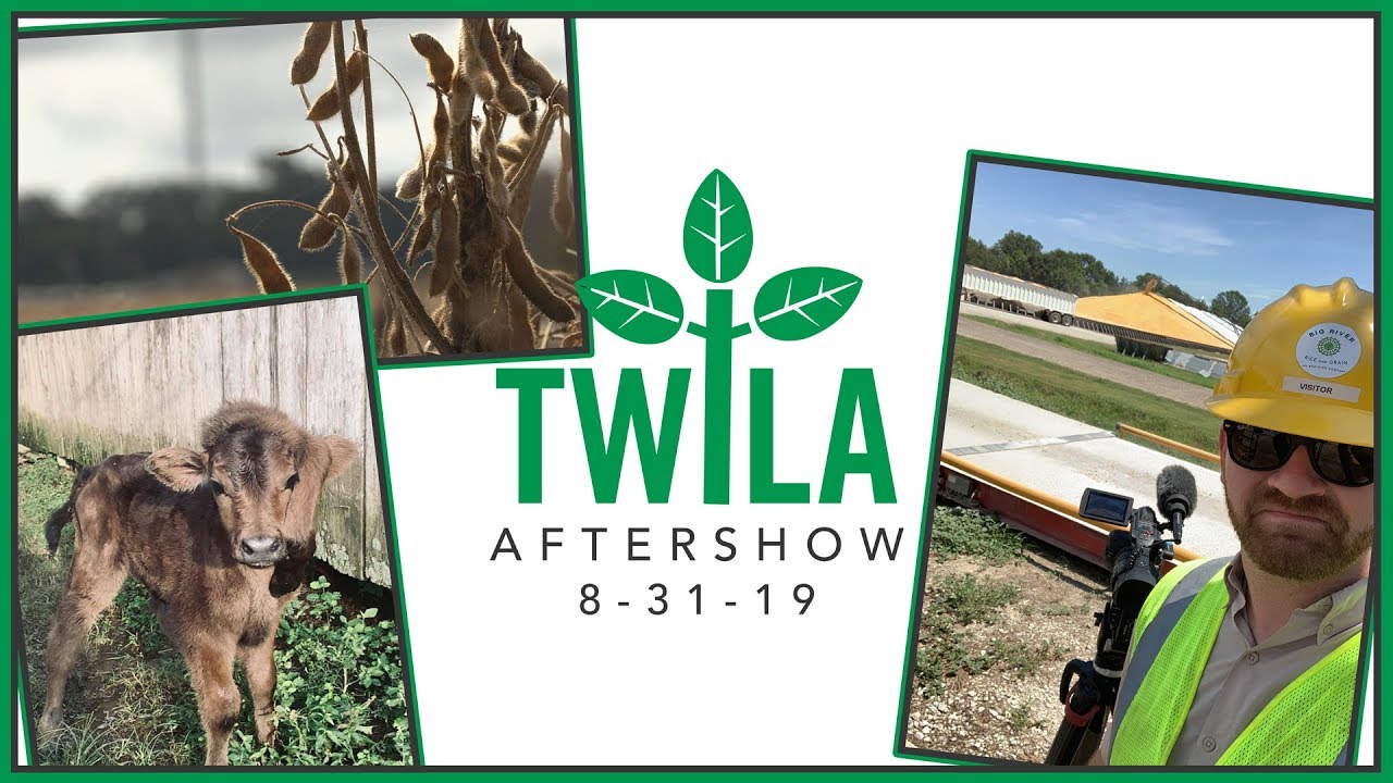 TWILA Aftershow 8-31-19 - YouTube
