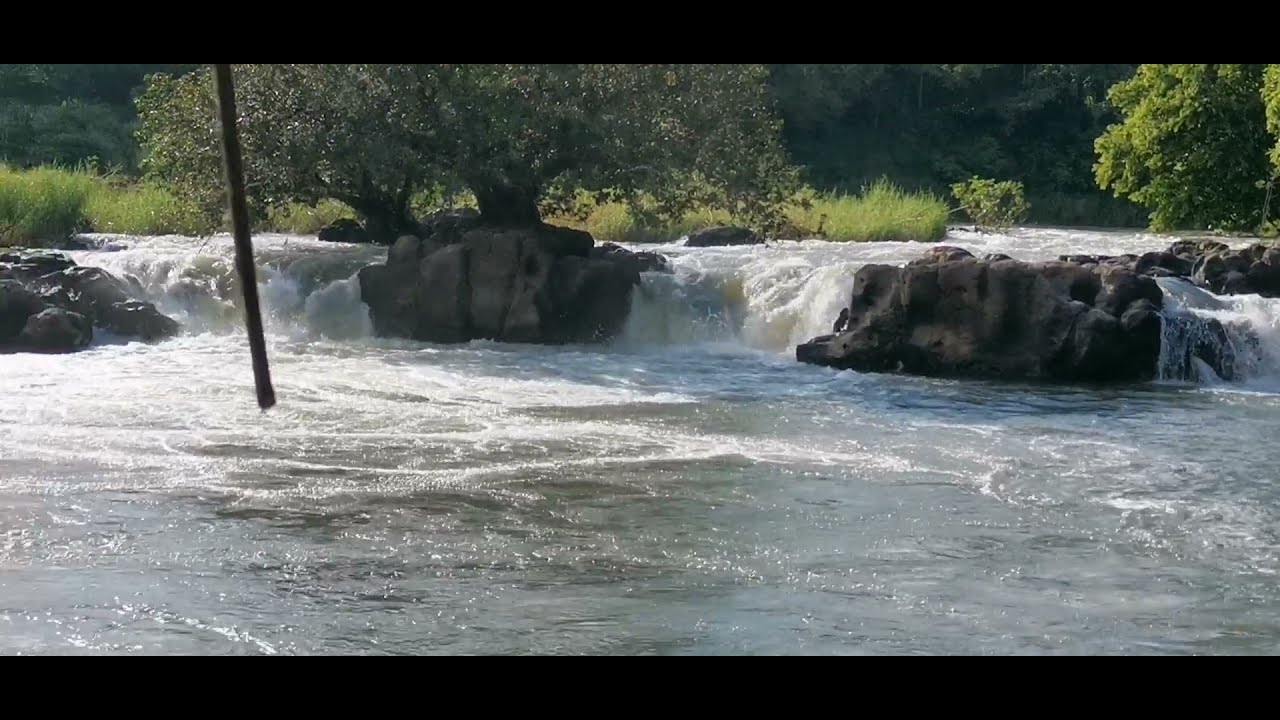 Rio Tempisque de Guardia - YouTube