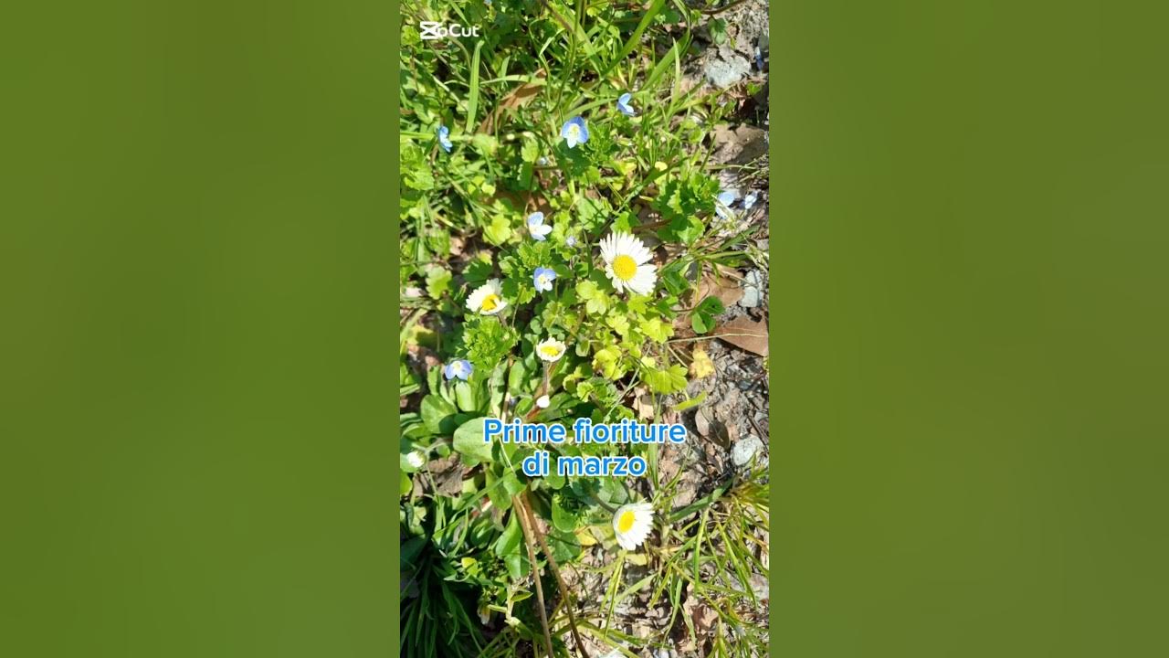 SPRING IS COMING... - YouTube