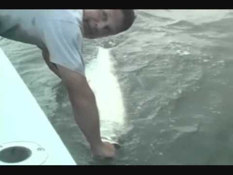 Capt. Kevin Faver's Promo Video for Mercury Outboards - YouTube