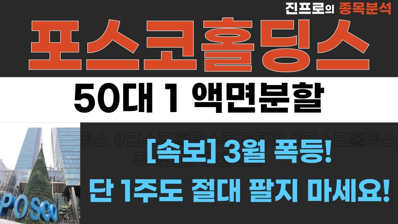 포스코홀딩스 세계최고의 기업이 될겁니다장기투자하세요 100배 수익납니다 포스코홀딩스 주가전망 양극재 에코프로 포스코퓨처엠 진프로 Youtube