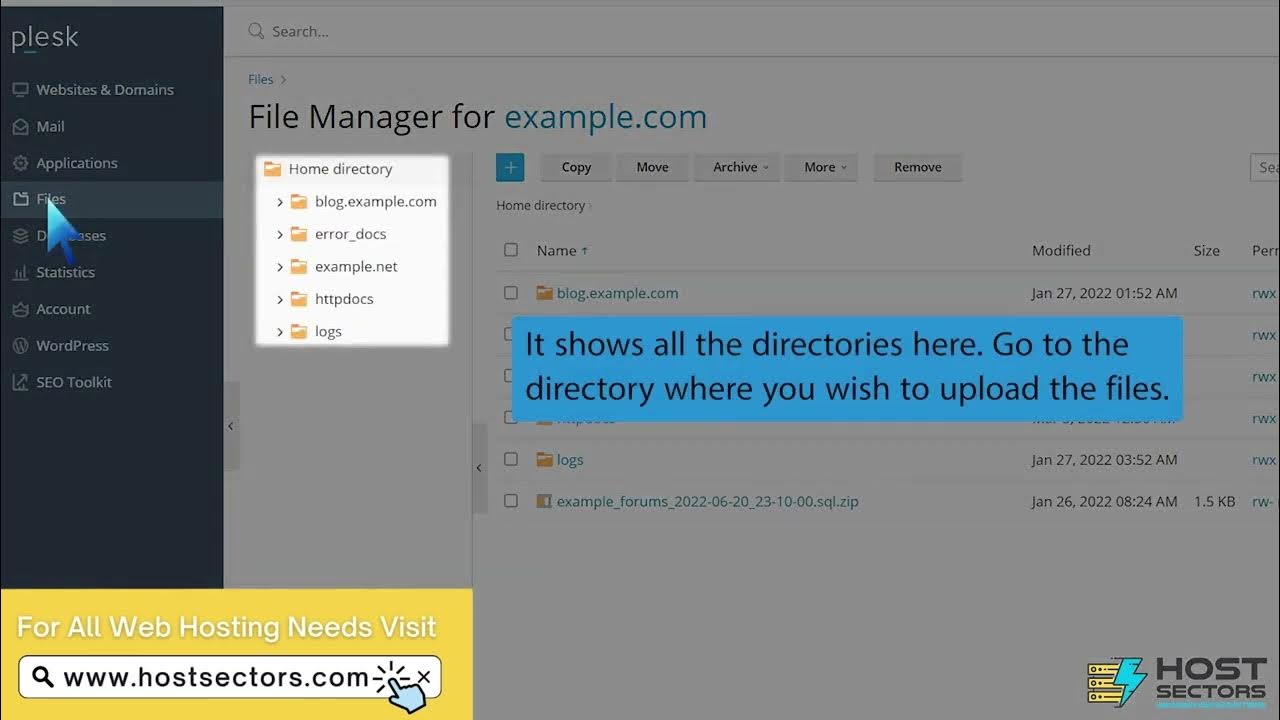 How To Upload Files Via The Plesk File Manager Hostsectors Youtube