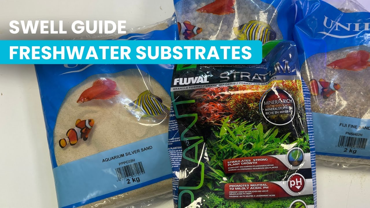Complete Guide to Freshwater Aquarium Substrates: Gravel, Sand, and ...