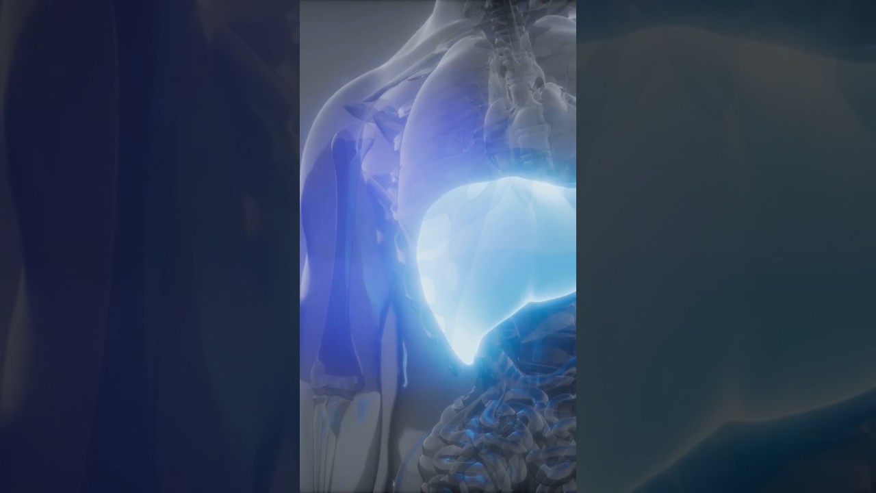 How Your Liver Manages Proteins: Proteins Metabolism Explained! - Go IT