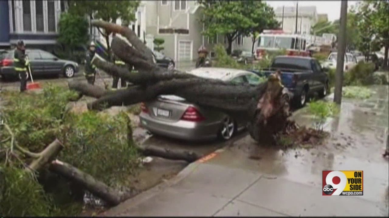 What REALLY caues trees to fall during severe storms? - YouTube