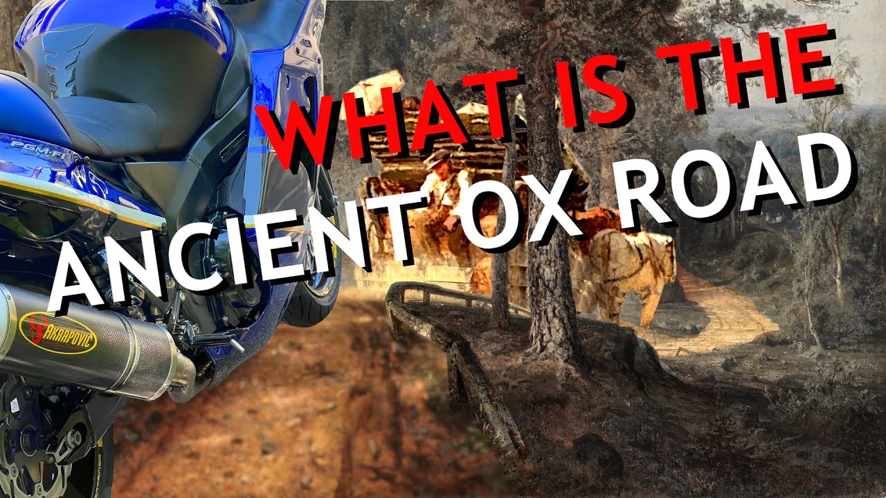 CBR1100XX Blackbird #10 - Ride the ancient Ox Road - YouTube