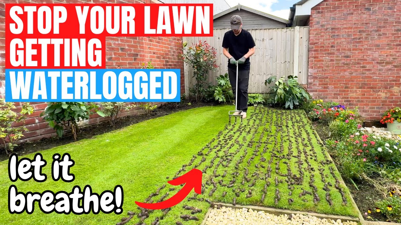The best way to STOP your LAWN getting WATERLOGGED this winter - start ...