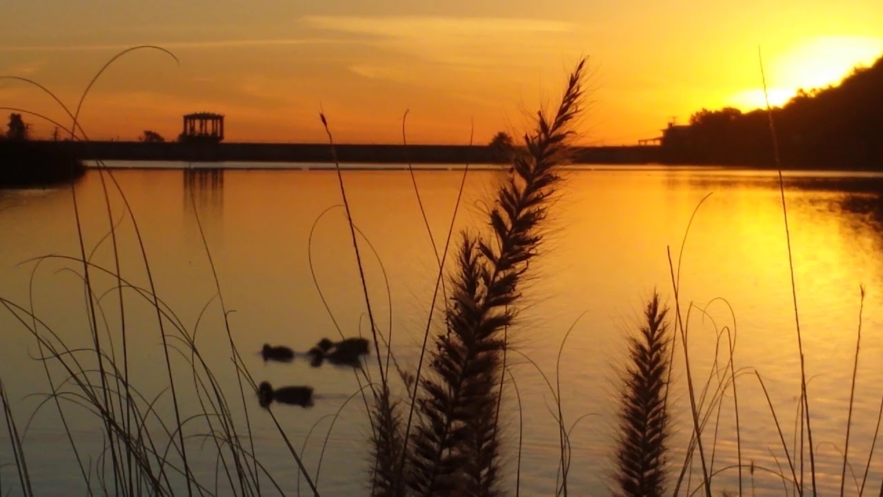 Lake Murray Beautiful Sunset! - YouTube