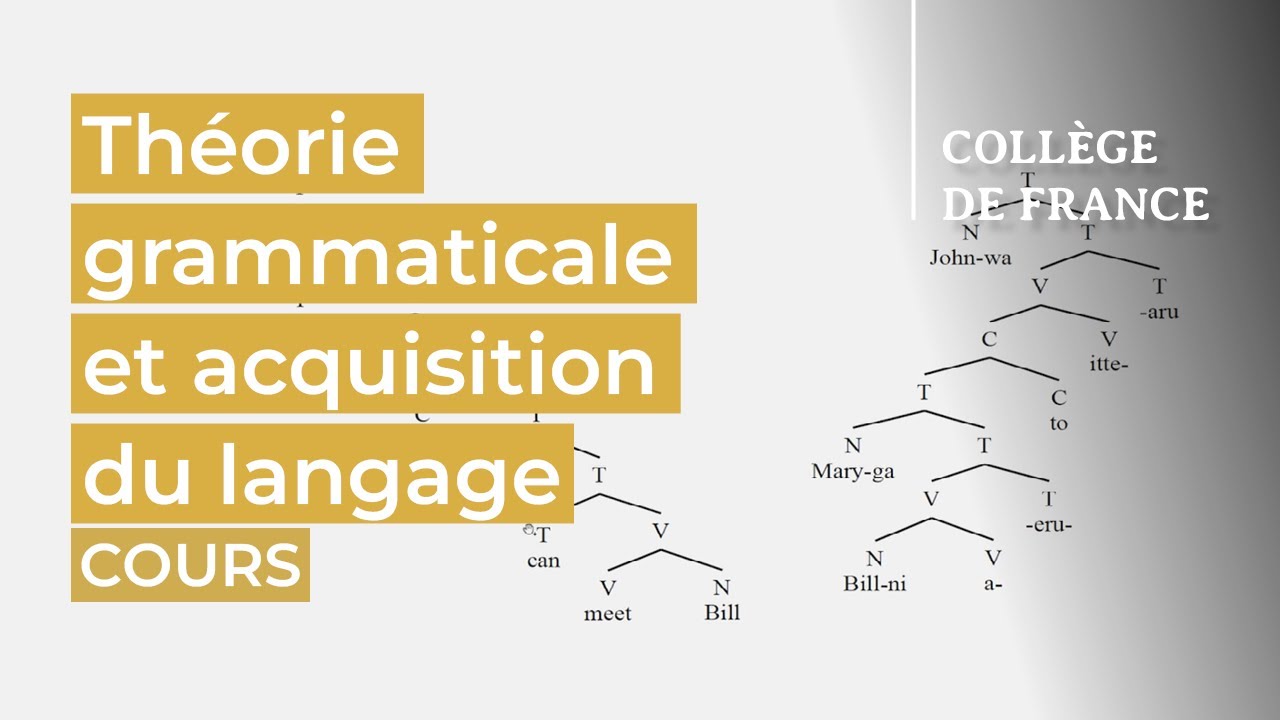 Théorie grammaticale et acquisition du langage (5) - Luigi Rizzi (2021 ...