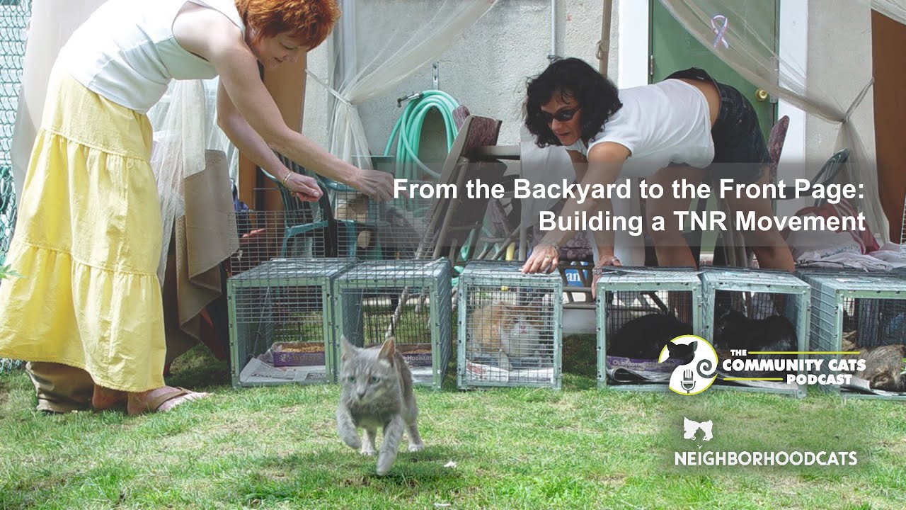 From the Backyard to the Front Page: Building a TNR Movement Presented ...
