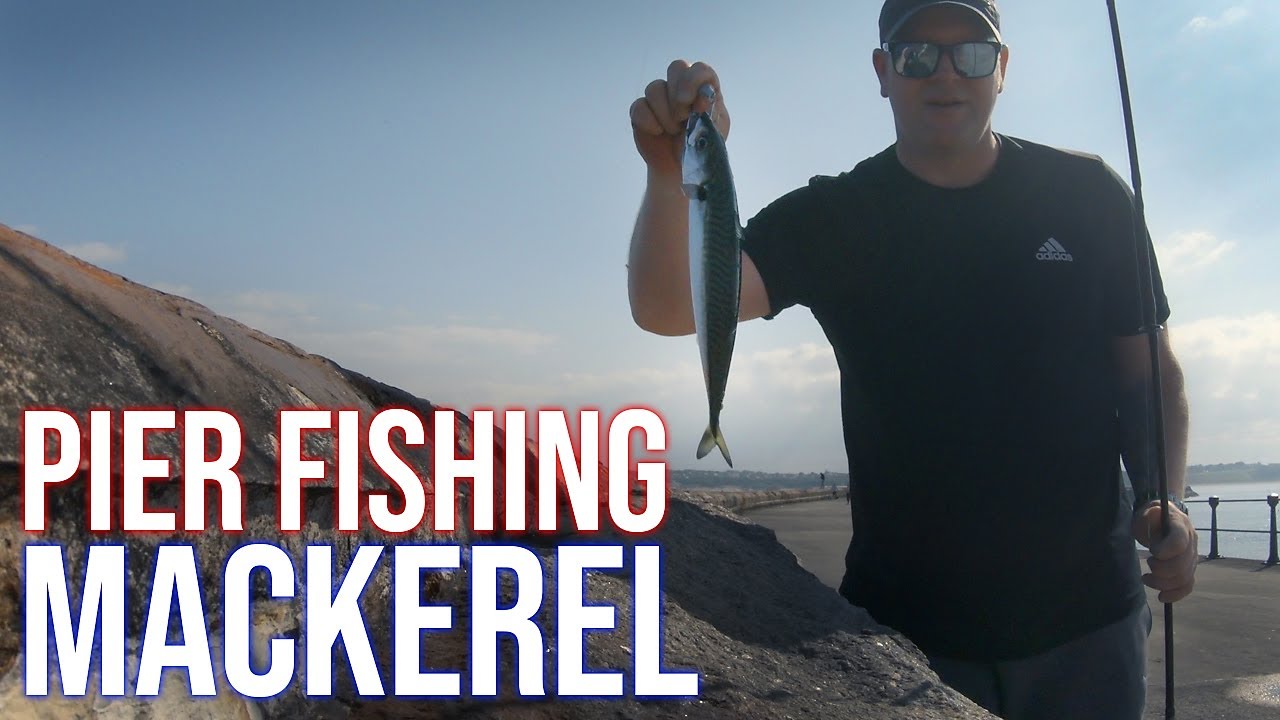 Pier Fishing for Mackerel, Cole fish & Pollock | Sea Fishing UK - YouTube