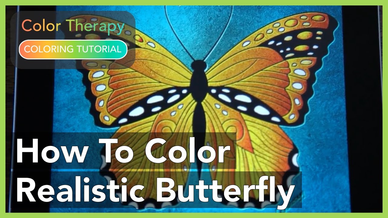 Coloring Tutorial: How to Color a Realistic Monarch Butterfly with ...