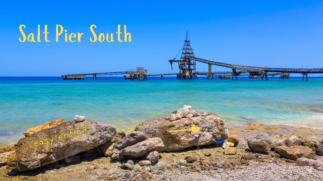 Bonaire Shore Diving Tips & Tricks - Salt Pier South - YouTube