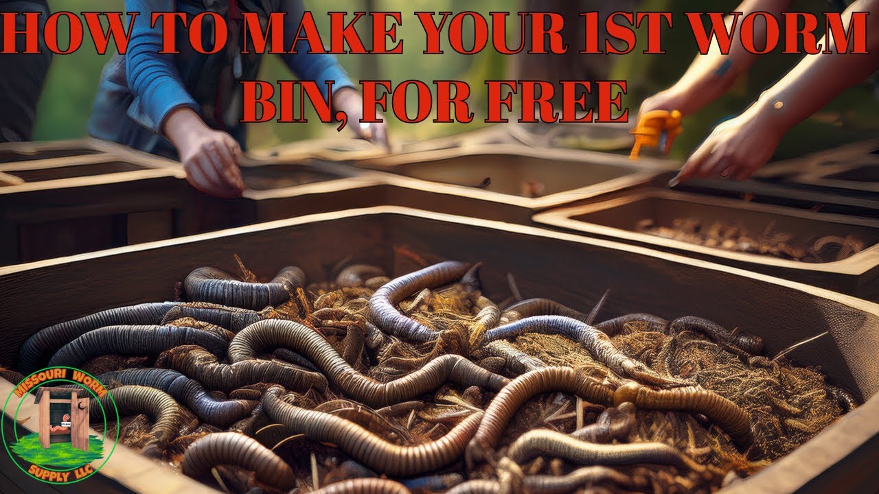 BUILD YOUR 1ST WORM BIN, FOR FREE - YouTube