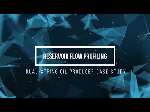 Behind tubing Reservoir Flow Profiling (RFP) in dual string oil ...