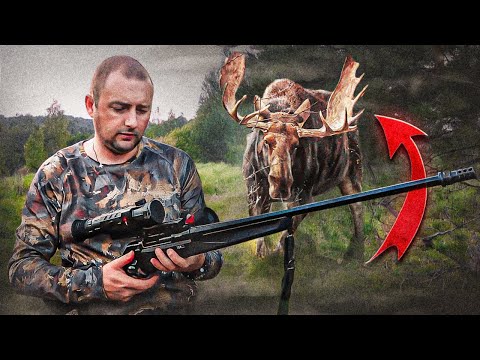 Добыл огромного трофейного быка. Обеспечили местных жителей мясом. Царская охота.