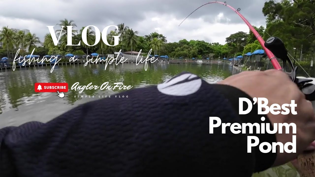 Vlog 17: Singapore Living, Famous Prawn Noodles, Fishing With Lures, D ...