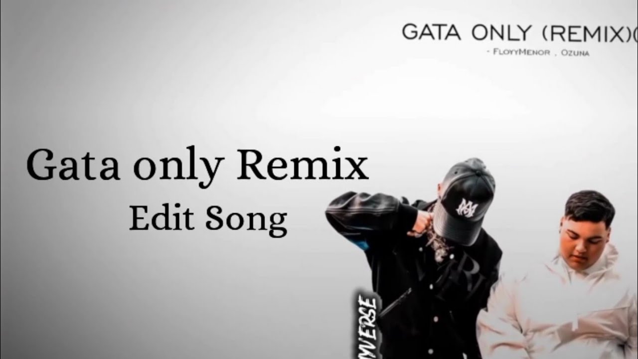 Gata Only Remix | Spanish Lyrics Edit Song | HredayVerse - YouTube
