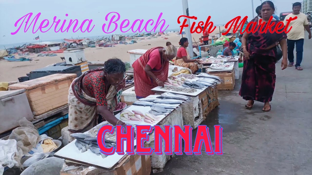 Merina beach fish market ||A_farmer_life|| - YouTube
