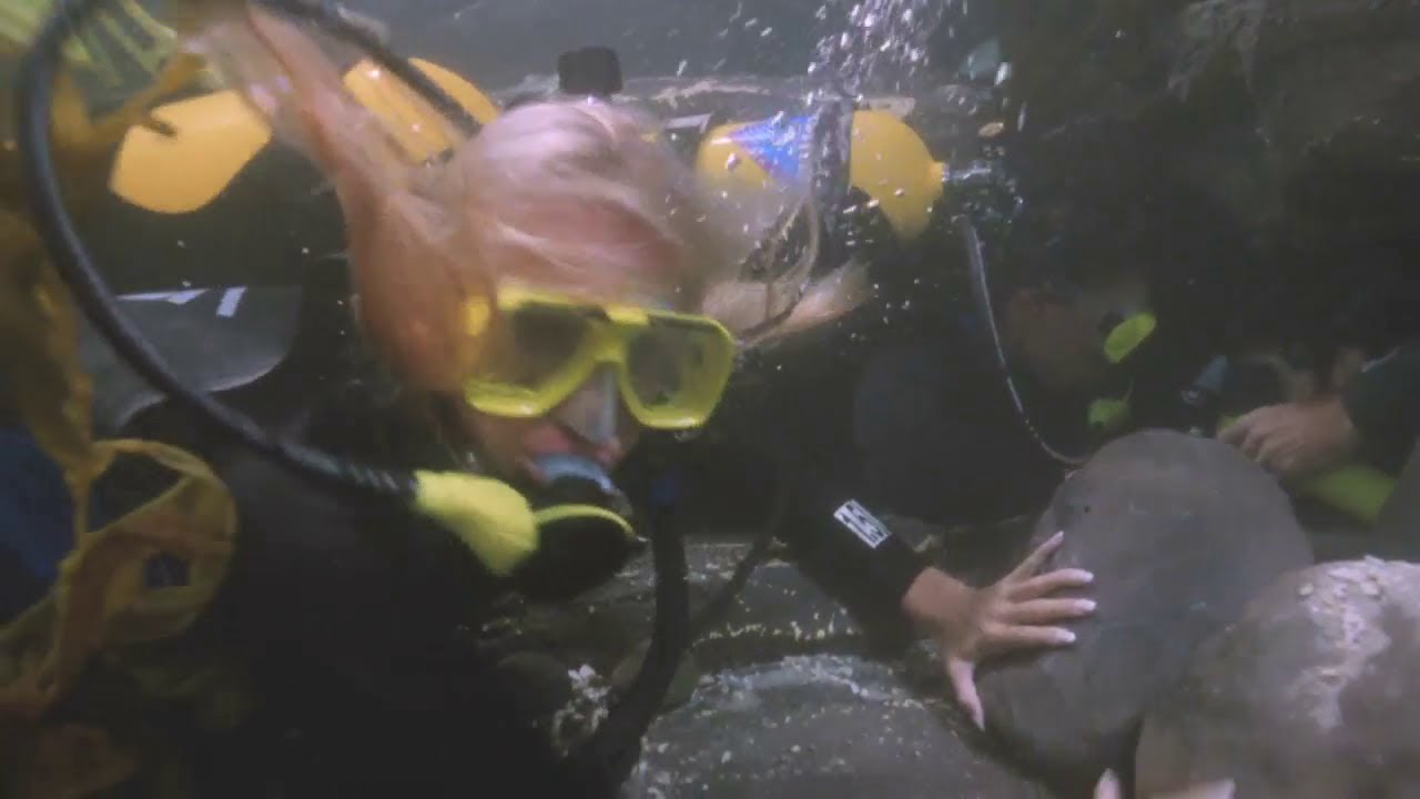 Pamela Anderson and Alexandra Paul try to save a trapped diver! - YouTube