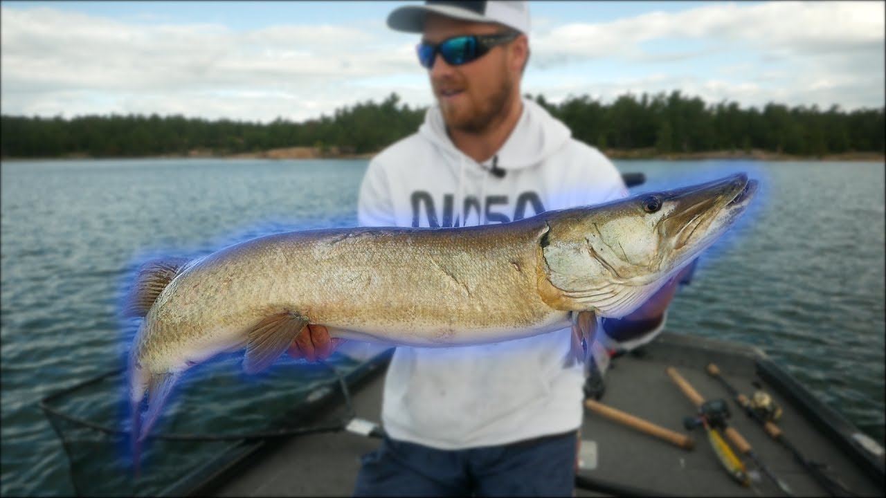 The TRUTH Behind Catching GIANTS, Monster Musky: All Day Grind - YouTube