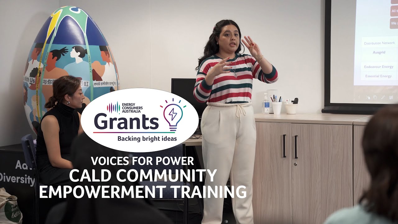 Grants Case Study: Voices for Power - CALD Community Empowerment ...