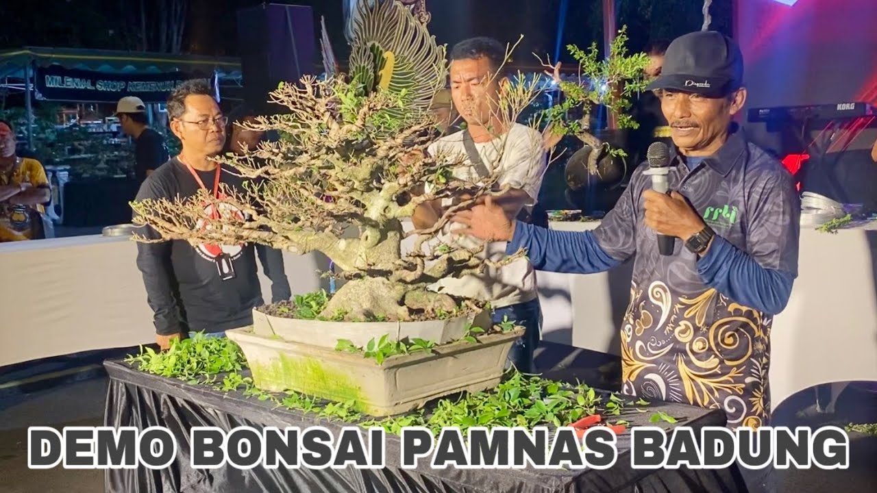 DEMO BONSAI BERSAMA PAK DE KARI DI PAMNAS BONSAI BADUNG BALI - YouTube